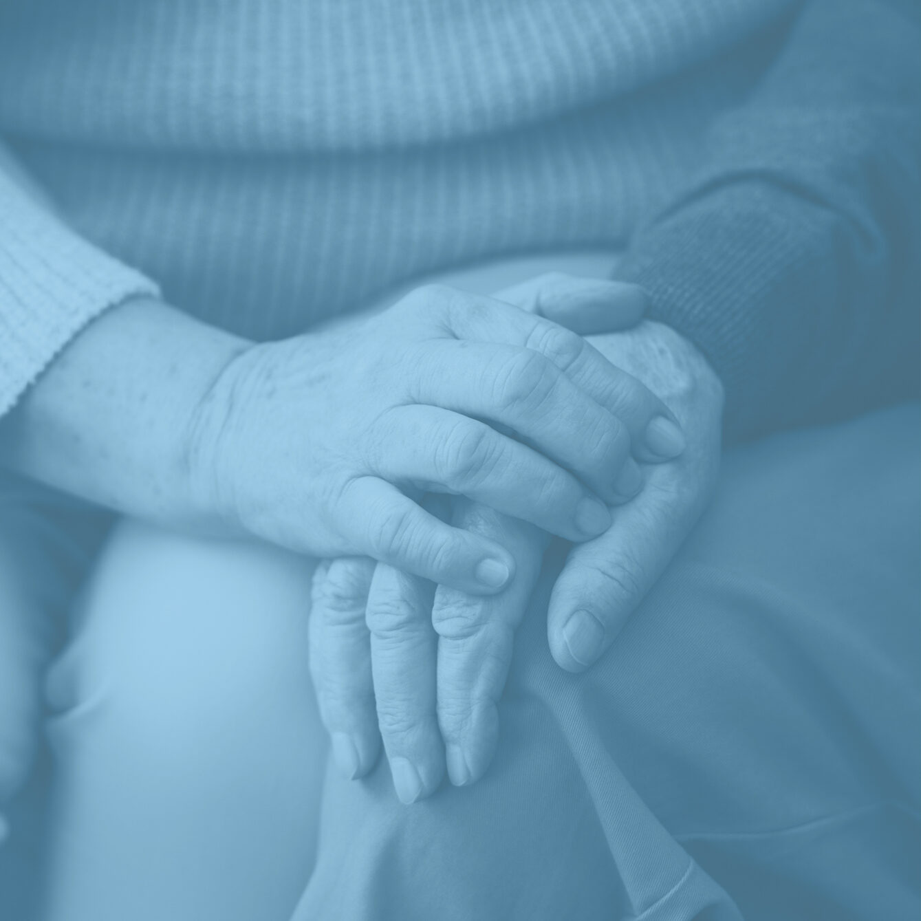 Home - Go Local Interactive