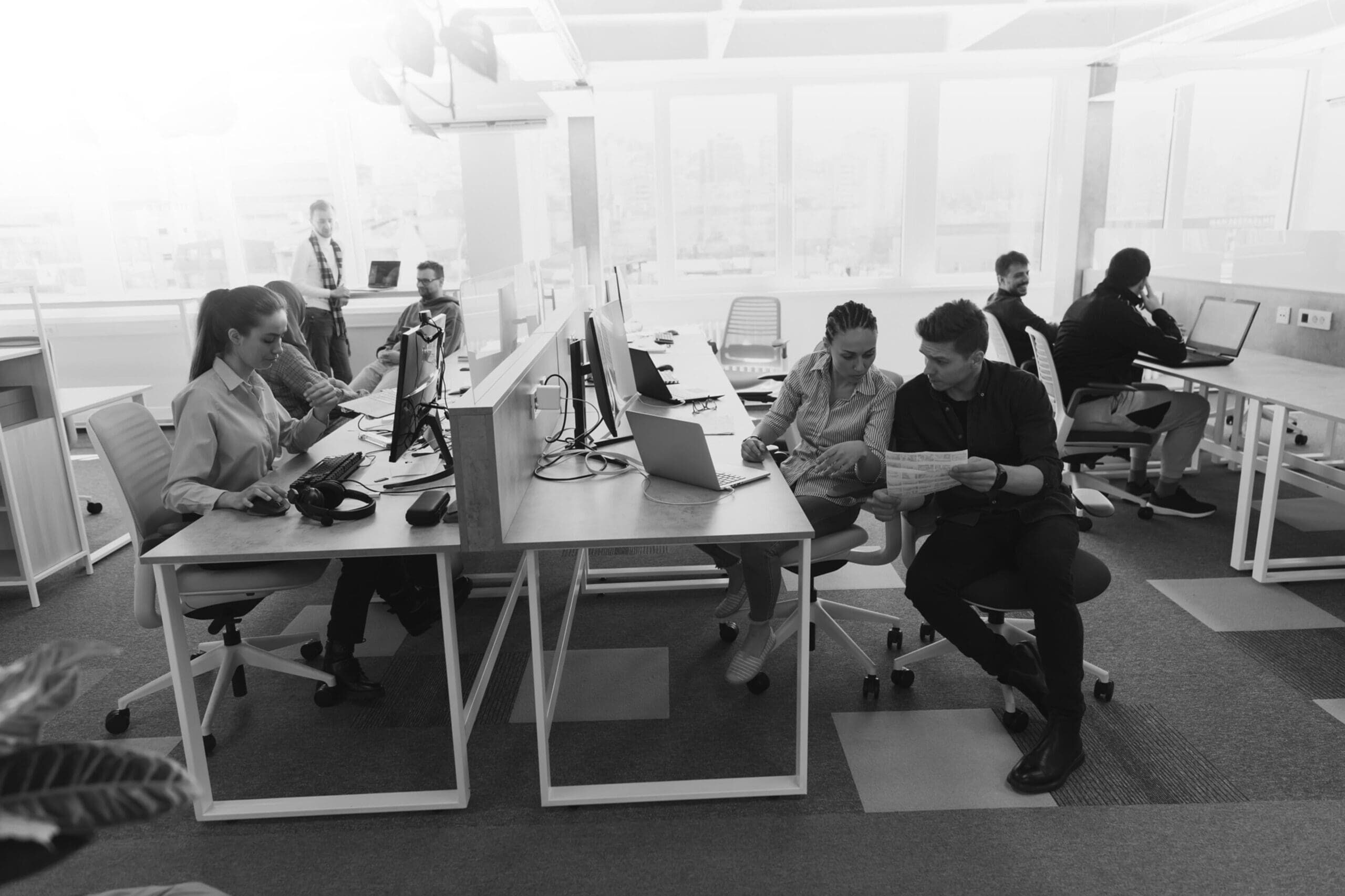 Meet the Team - Go Local Interactive